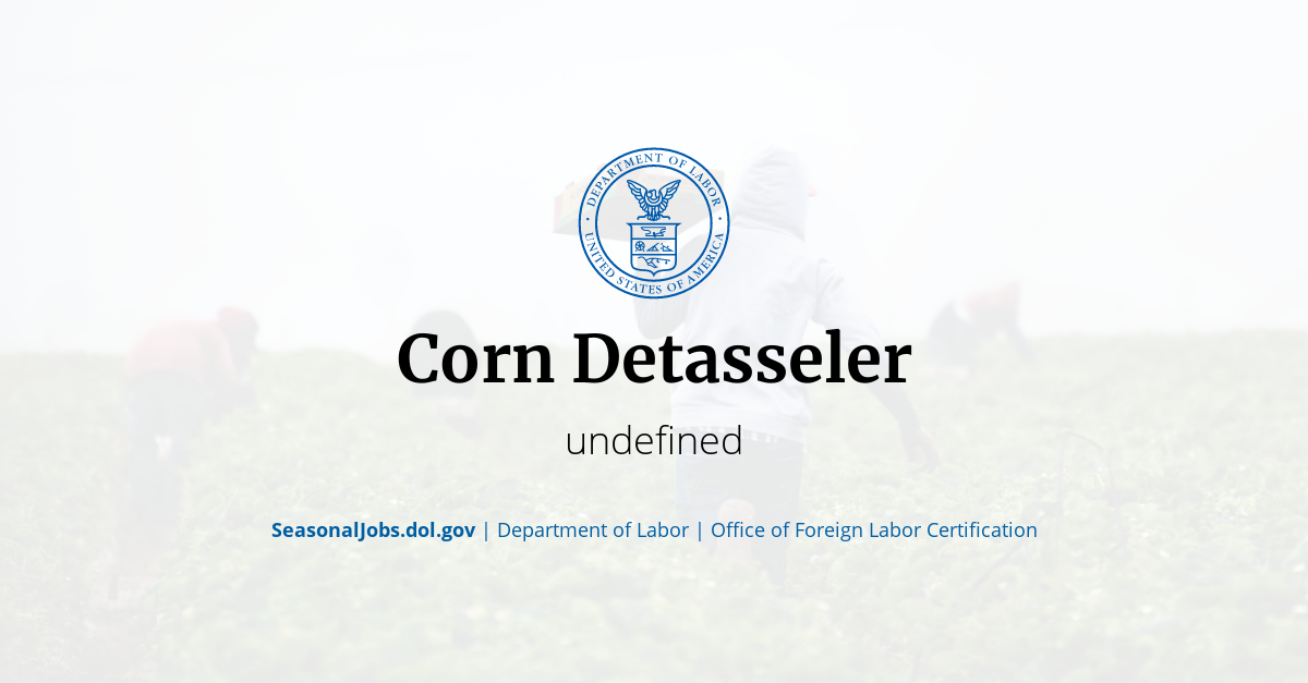 Corn Detasseler | SeasonalJobs.dol.gov
