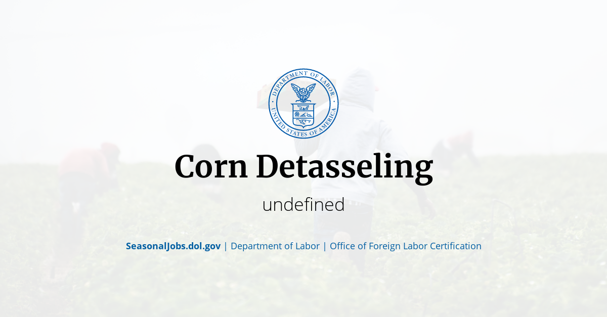 Corn Detasseling | SeasonalJobs.dol.gov
