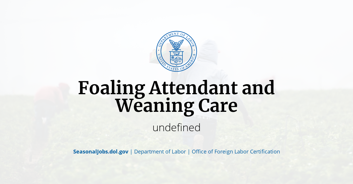 Foaling Attendant and Weaning Care | SeasonalJobs.dol.gov