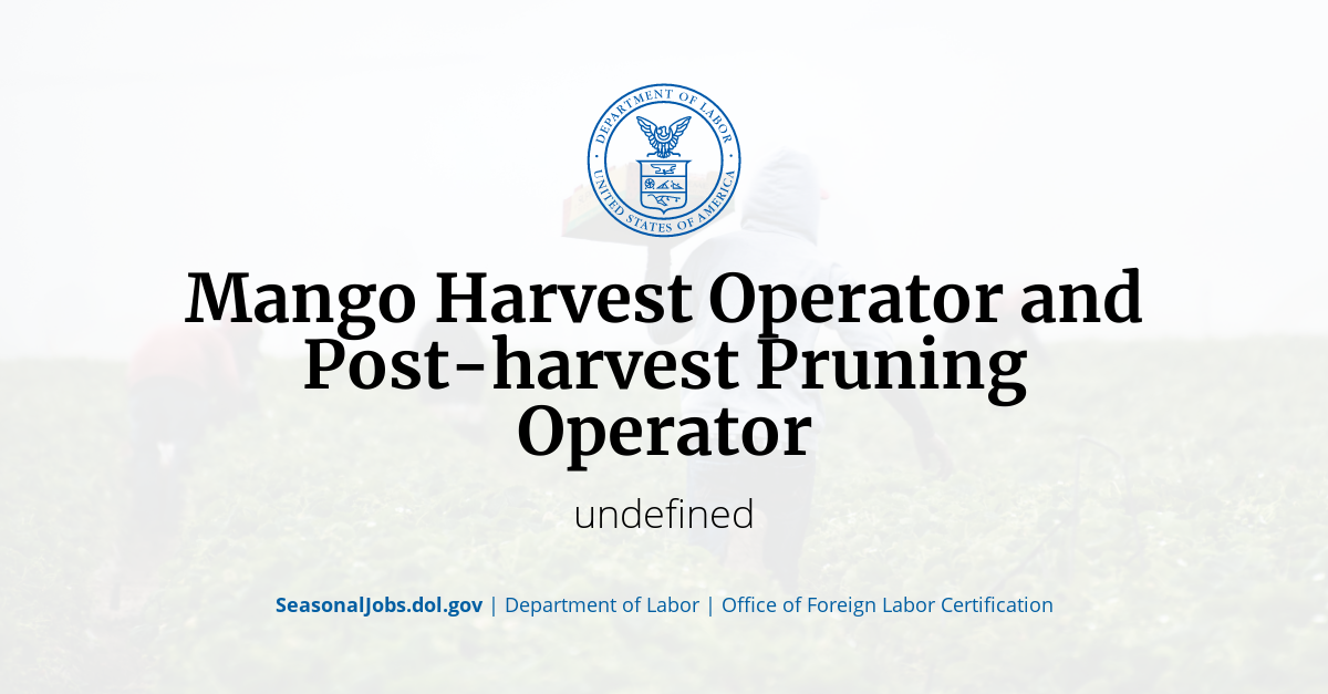 Mango Harvest Operator and Post-harvest Pruning Operator | SeasonalJobs ...