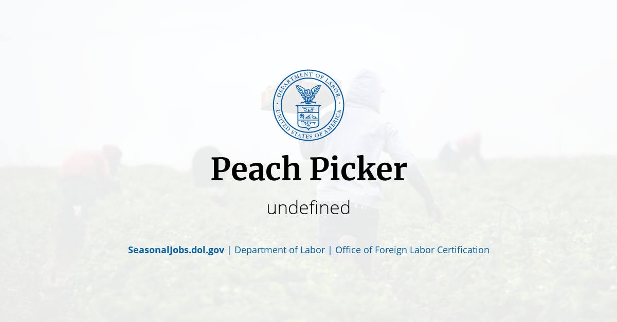 Peach Picker | SeasonalJobs.dol.gov