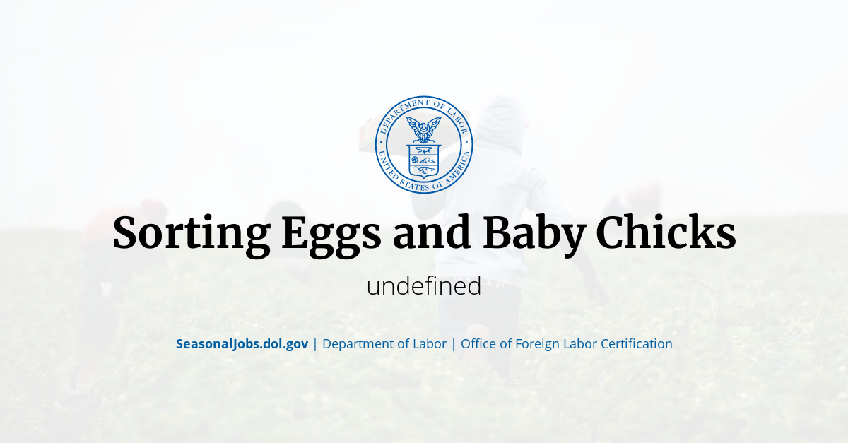Sorting Eggs and Baby Chicks | SeasonalJobs.dol.gov